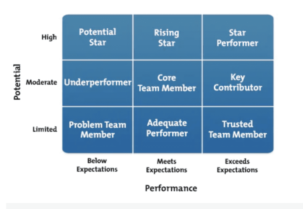 McKinsey 9-Box Matrix - 1 Hour Guide
