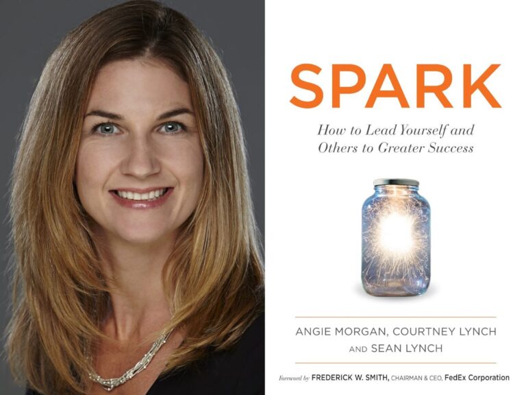 Spark: How To Lead Yourself And Others To Greater Success - 1 Hour Guide