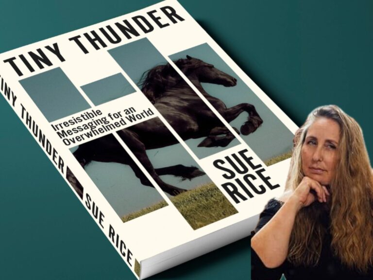 Tiny Thunder: Irresistible Messaging For An Overwhelmed World - 1 Hour Guide