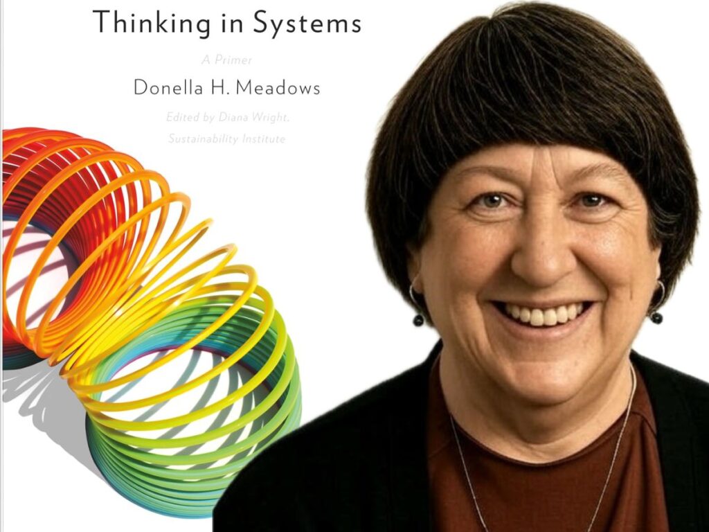 Thinking In Systems: A Comprehensive Guide To Complex Systems - 1 Hour ...